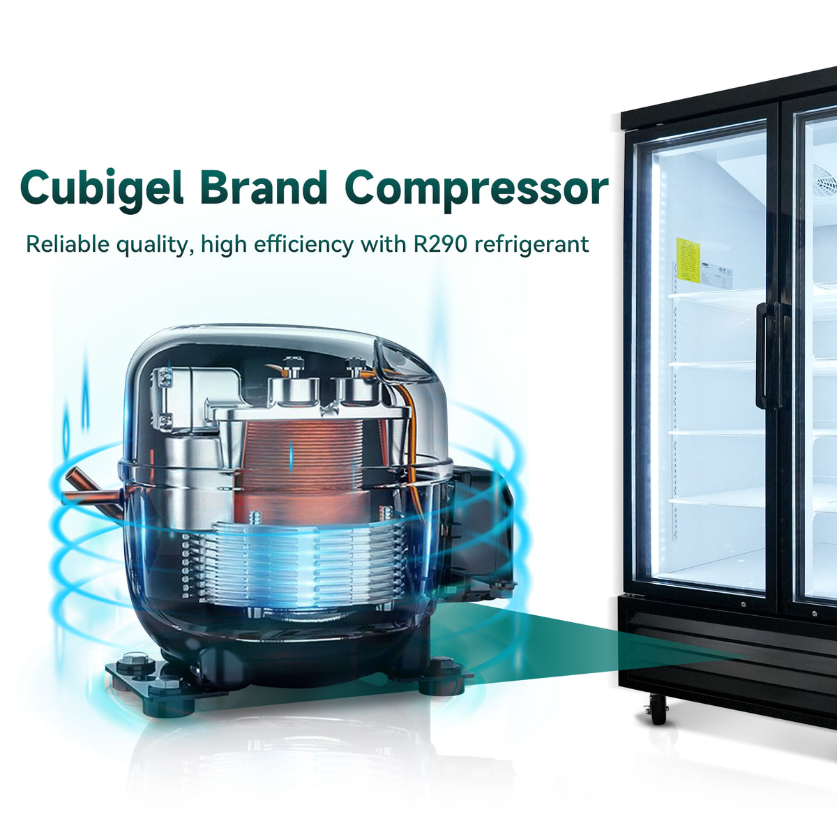 ORIKOOL 54" Commercial Display Merchandiser Refrigerator, 2 Swing Glas